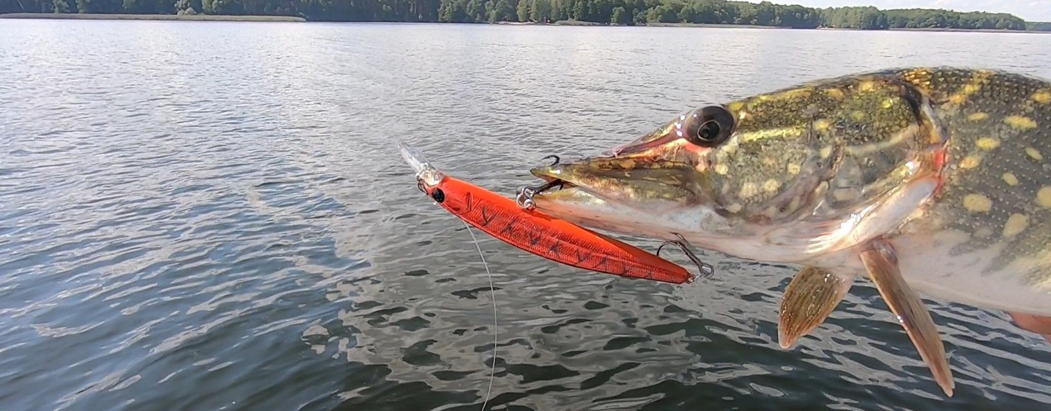 Просто о рыбалке