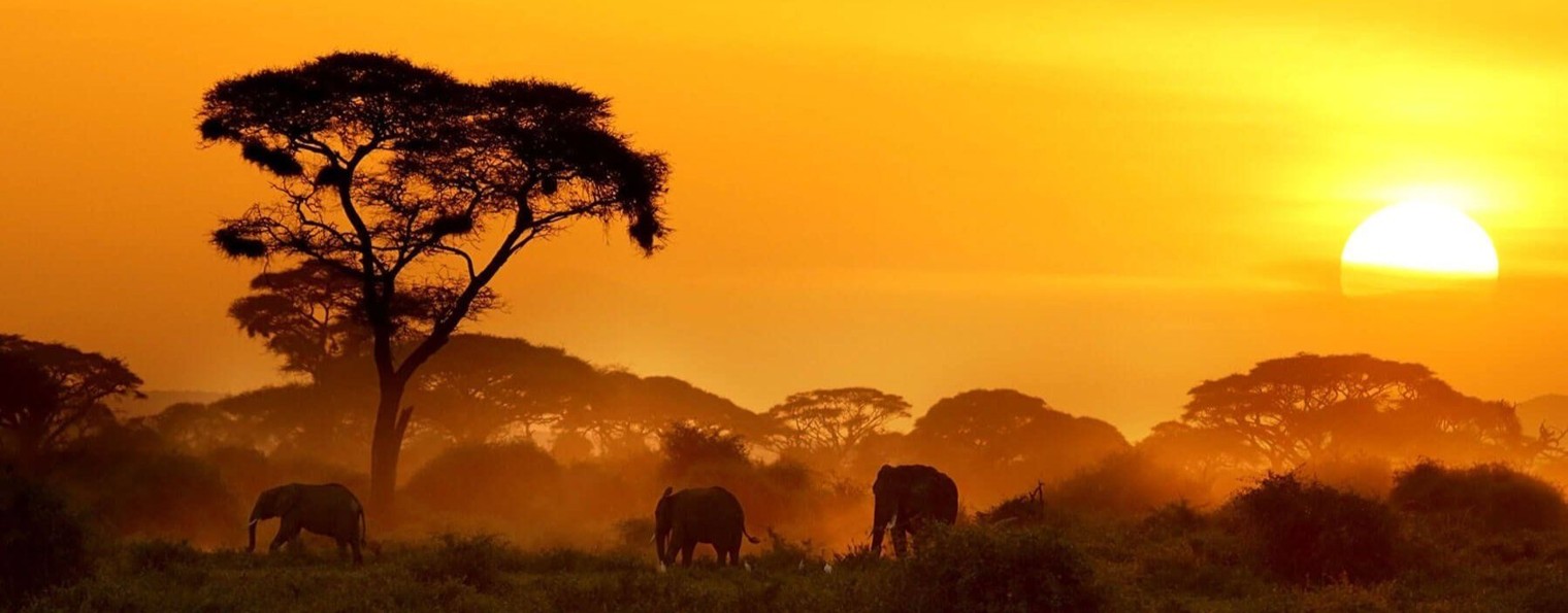 Кофе "Истерика Вкуса"