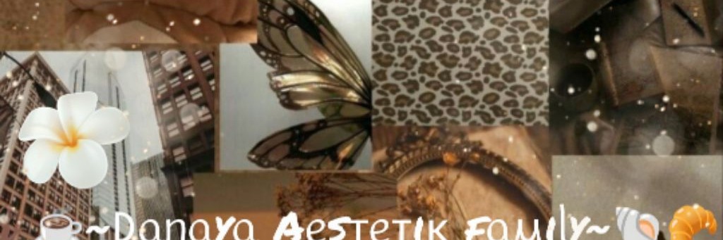 🪾☕️~𑀥ᥲᥒᥲyᥲ Aᥱsᴛᥱᴛiκ fᥲⲙiᥣy~🥐🐚