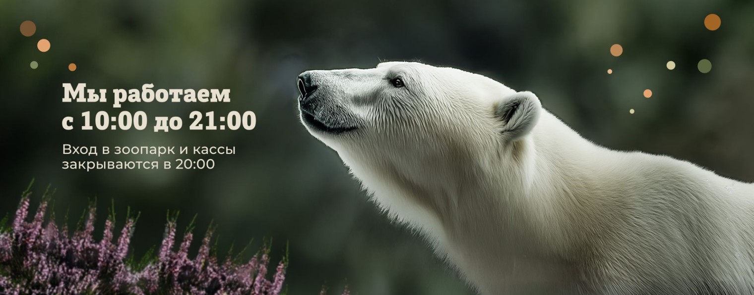 Ленинградский зоопарк