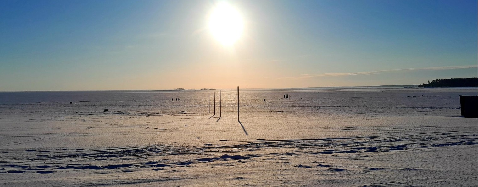 Елена Ефимова