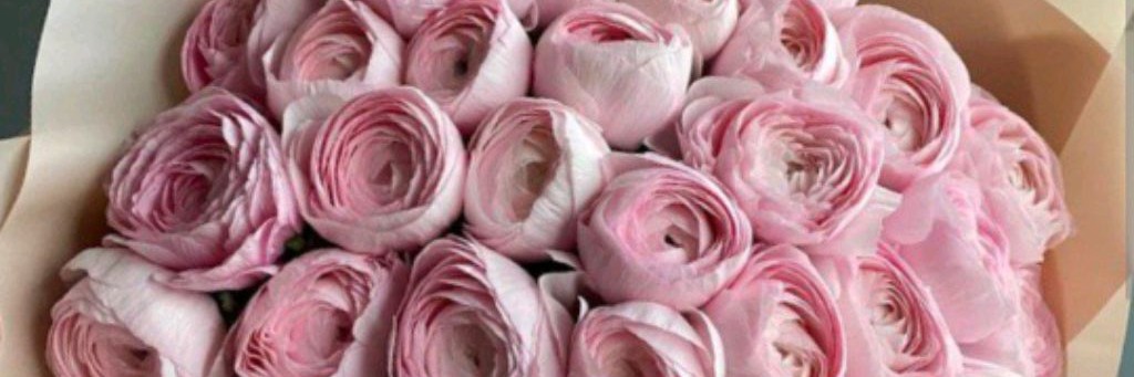 Палисад Татьяны|Тюмень