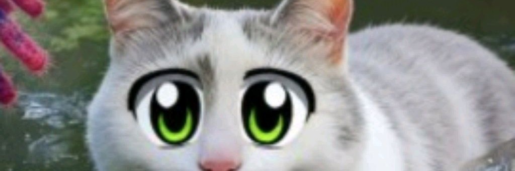 ꨄ︎анука-давайкаꨄ︎