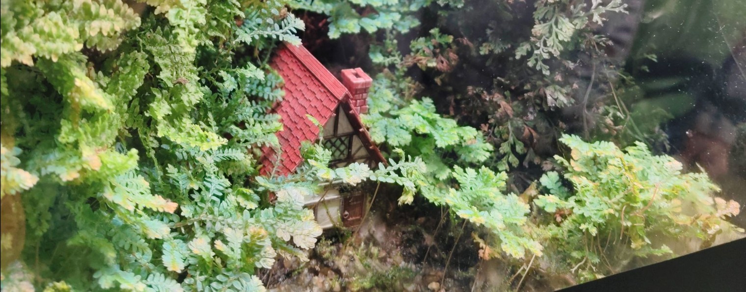 Екатерина Розова