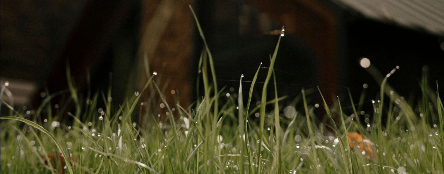 Бани-землянки в Сочи