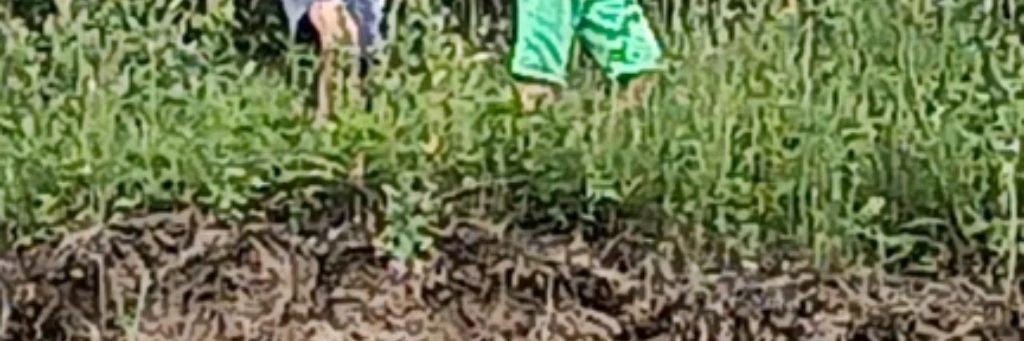 БЛОГ ПРО ДАЧУ