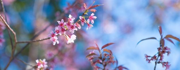 Что стар, что млад