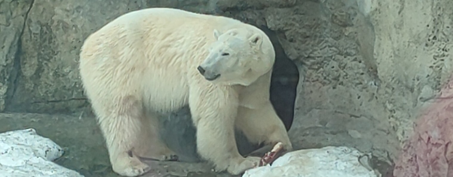 🐻Миха🇷🇺