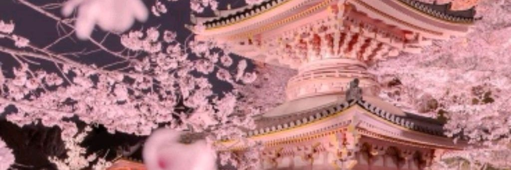 𝑬𝒗𝒂𝒏𝒔 ✵