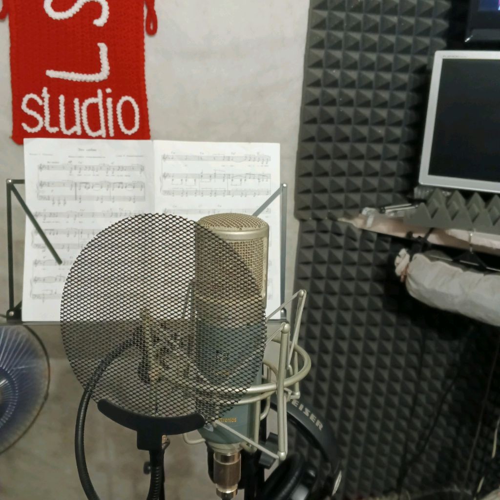 LSStudio (ЛССтудия) - делаем ваше звучание.