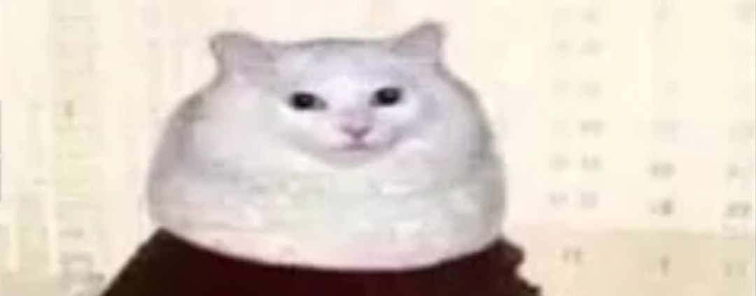 ✧ 𝓑𝓮𝓮 ✧