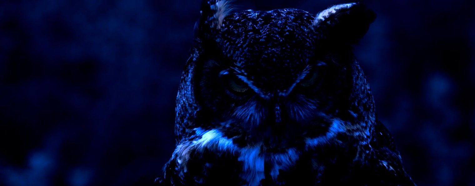 HDR☑▸DISPLAY♉♂️