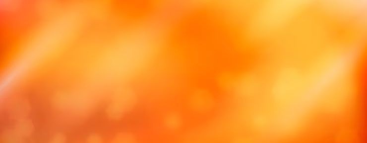 Чеснок 🧄 Видео (Михаил Чеснок~О.В.)