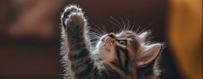 Кристина кэт