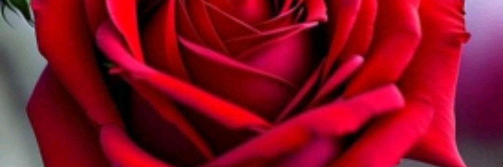 Иисус Христос