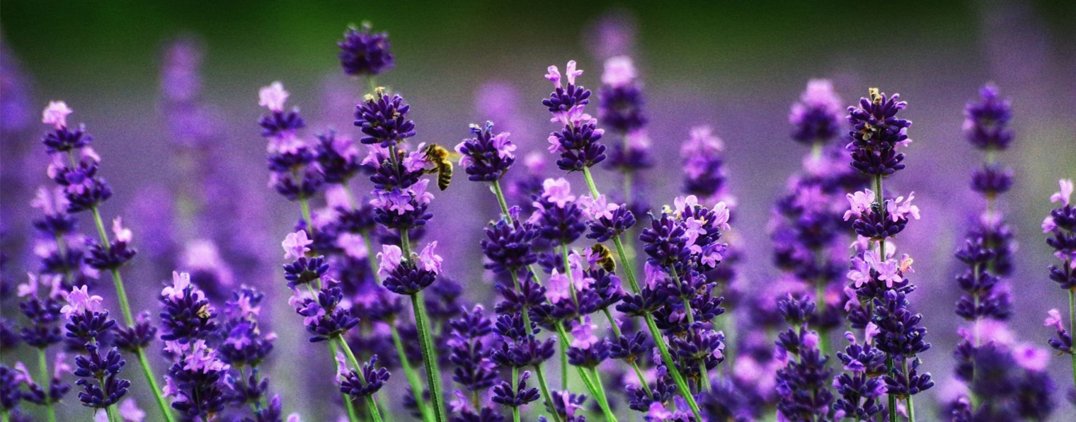 Оксана Юрьевна Малюкова, практикующий психолог