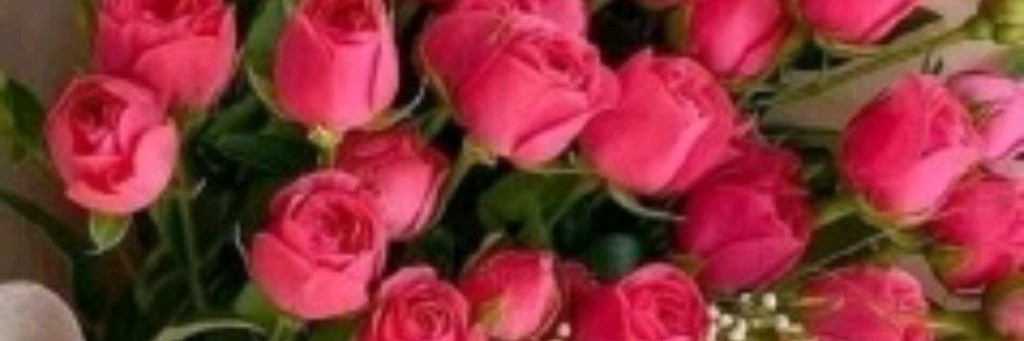 Дом семьи в деревне.