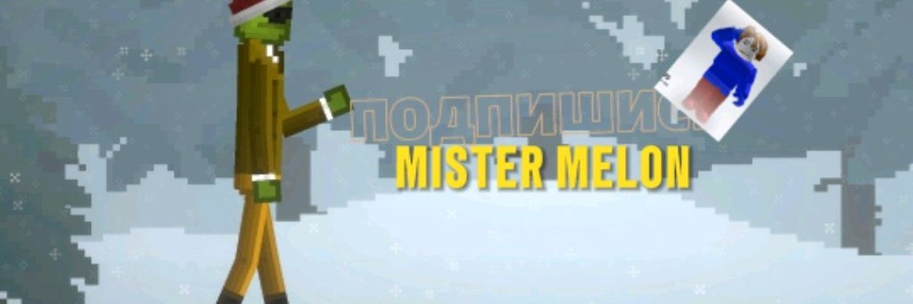 😎MISTER MELON 😎