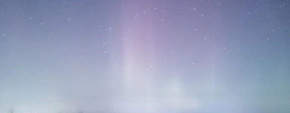 викавлог🐴