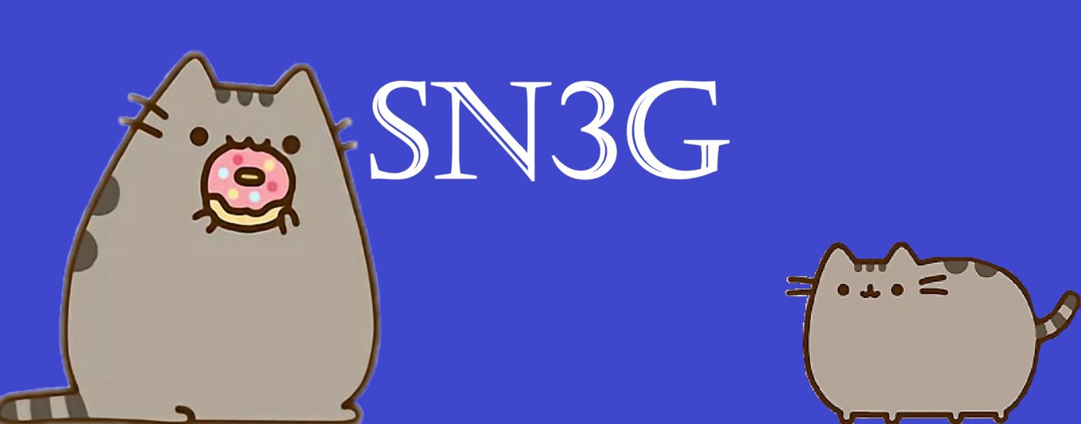 Sn3g