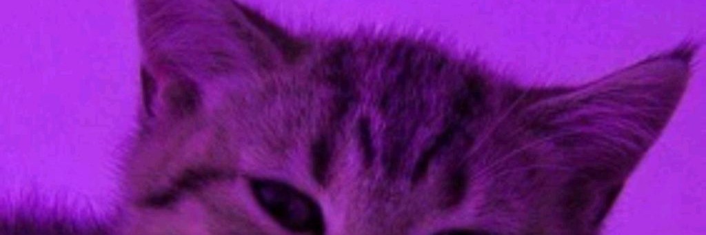 Викусинька