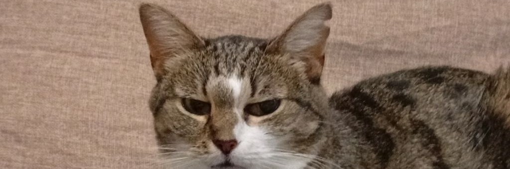 Кто Подпишется Он Топ