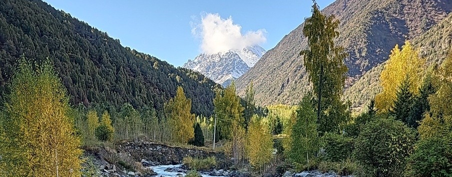 Шаманы Алтая
