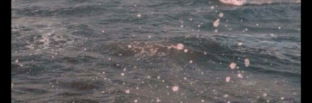 ☀︎︎☾︎-𝔸𝔻𝔼𝕃𝕓_𝔽ℝ𝕐𝕄_𝕊𝕋𝕆𝕐ℕ-☽︎✿︎