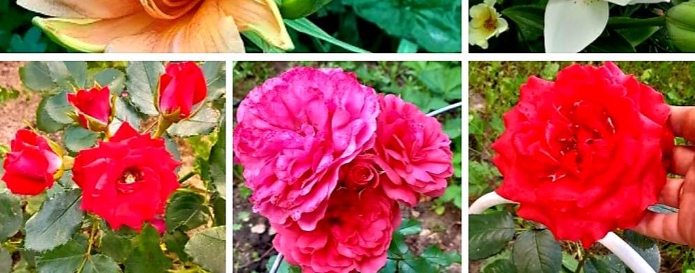 от Оксаны ВСЕГО ПОНЕМНОГУ