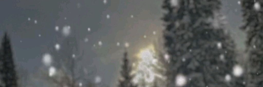 ✨ВыСоКоМеРнАя💫 хАмКа 👌