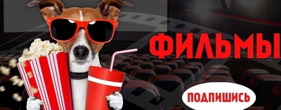 Фильмотека на диване.