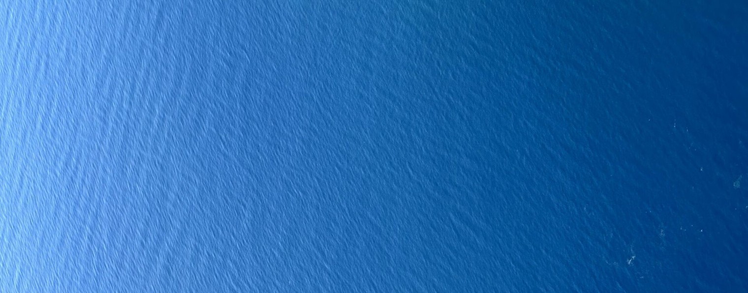 Разговоры налегке