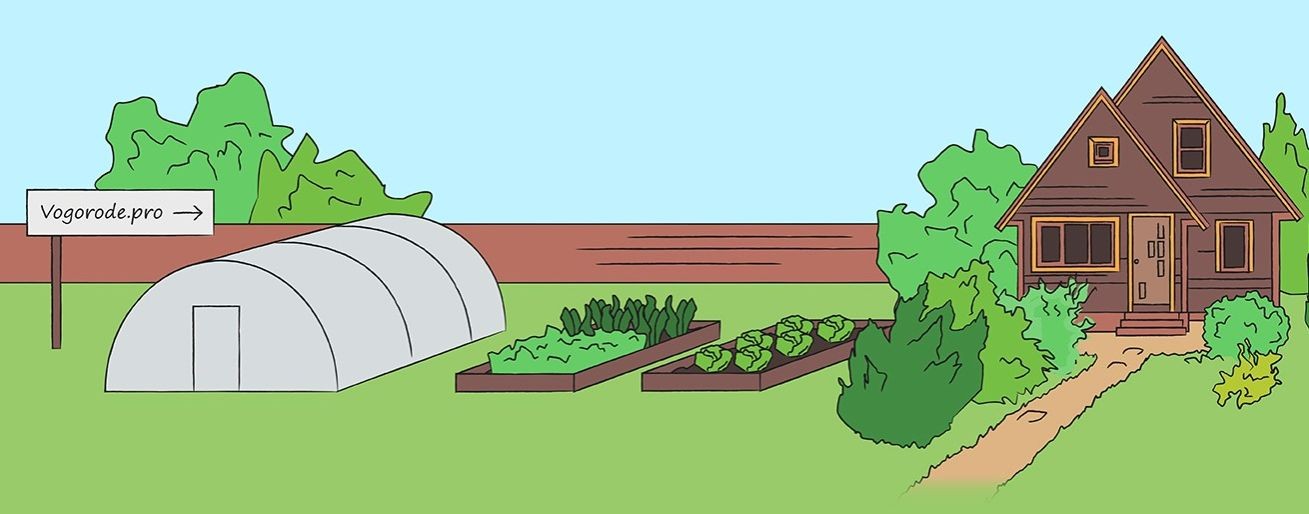vogorode.pro