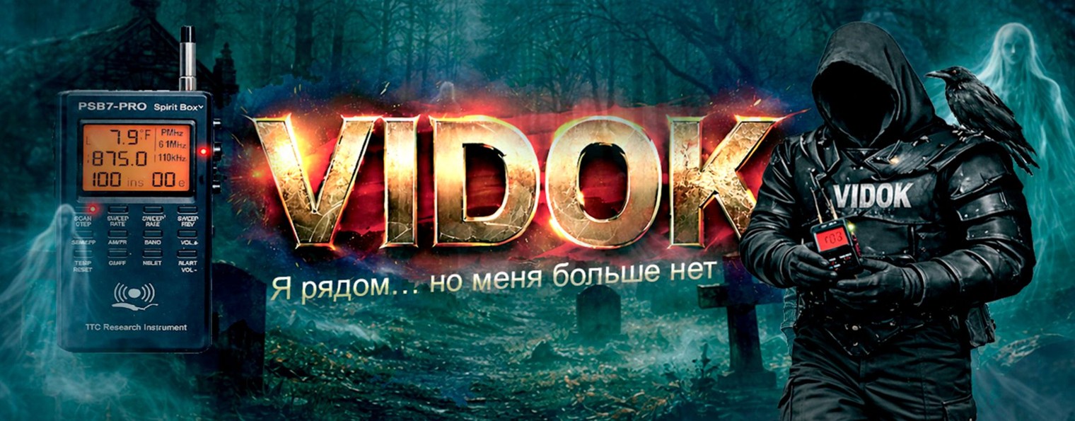 VIDOK