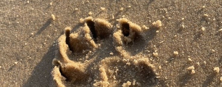 ~°☆{Моё творчество-чек"🍡🍃