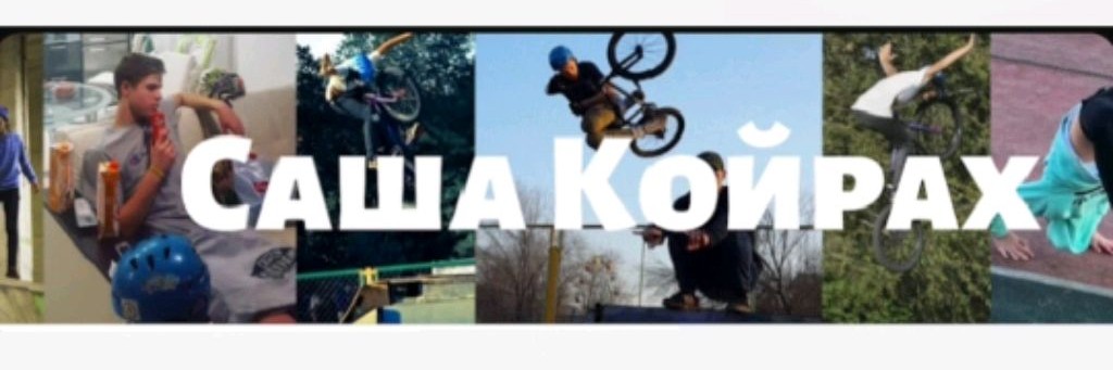 Саша Койрах