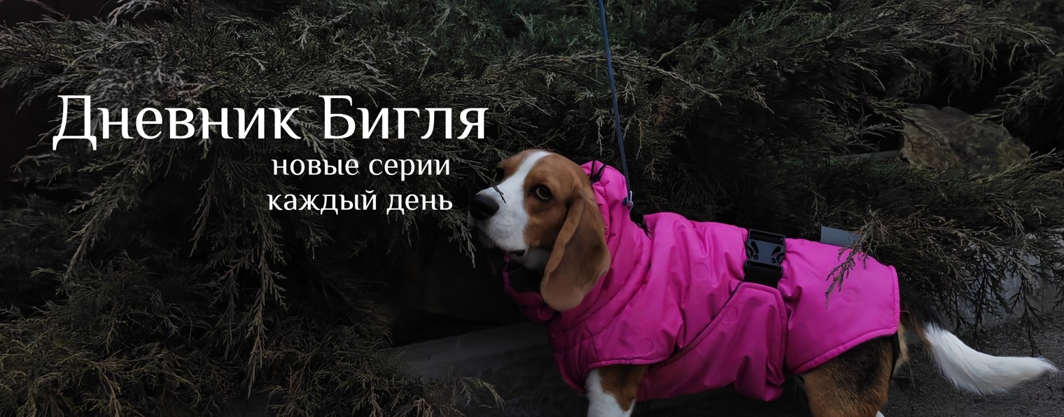 Дневник Бигля | Beagle Diary