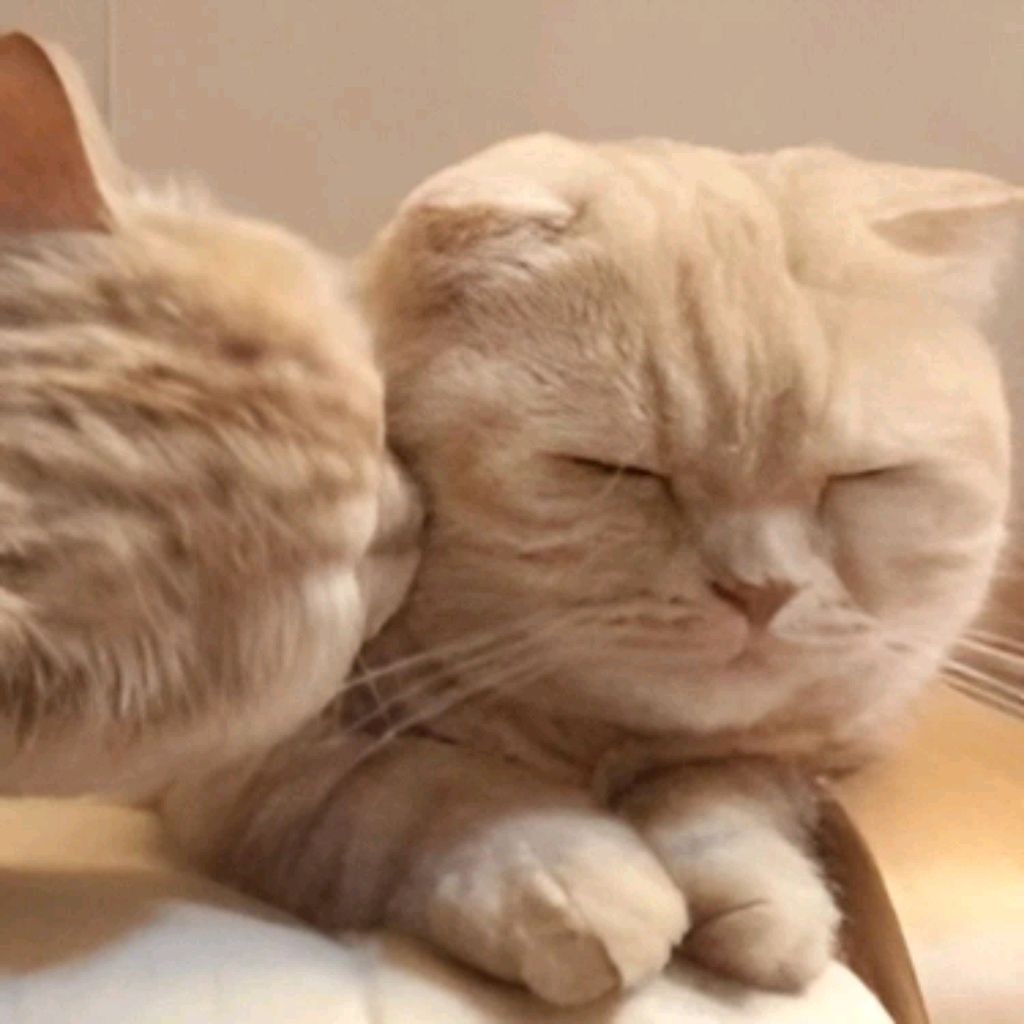 Ангелочек🪽