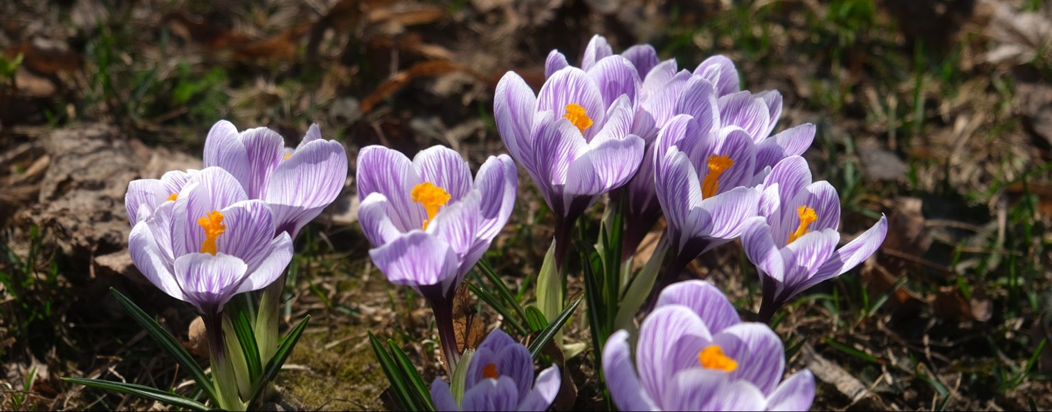 Сергей Варламов | Фотограф любитель