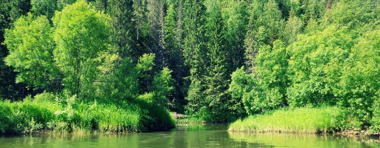 Канал  Человека