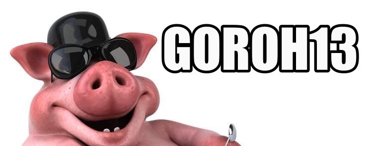 Goroh13