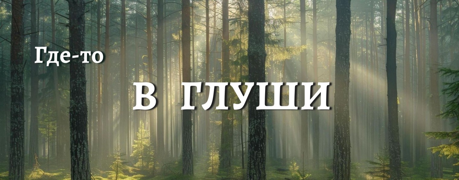 ГДЕ-ТО В ГЛУШИ  & Жизнь в ЛЕСУ