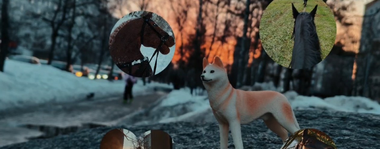 🐎🍀Ziyvi Horse🍀🐴(зийви хорс)