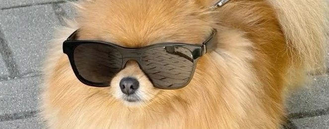 Бомба Мэн(жура290к)