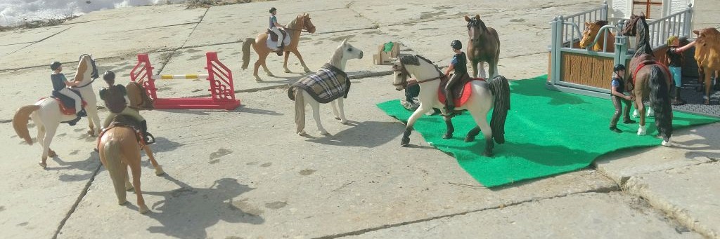 ⭐★𝖅𝖛𝖊𝖟𝖉𝖓𝖞𝖞~𝖕𝖚𝖙!☆🌙