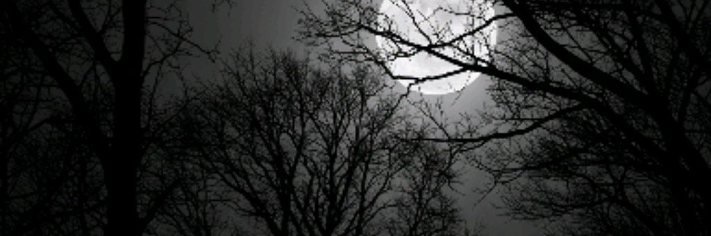 Misha Просто Misha