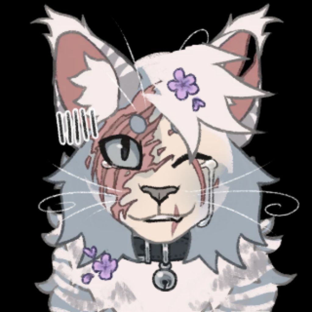 ::★Белая Чайка Кв★::