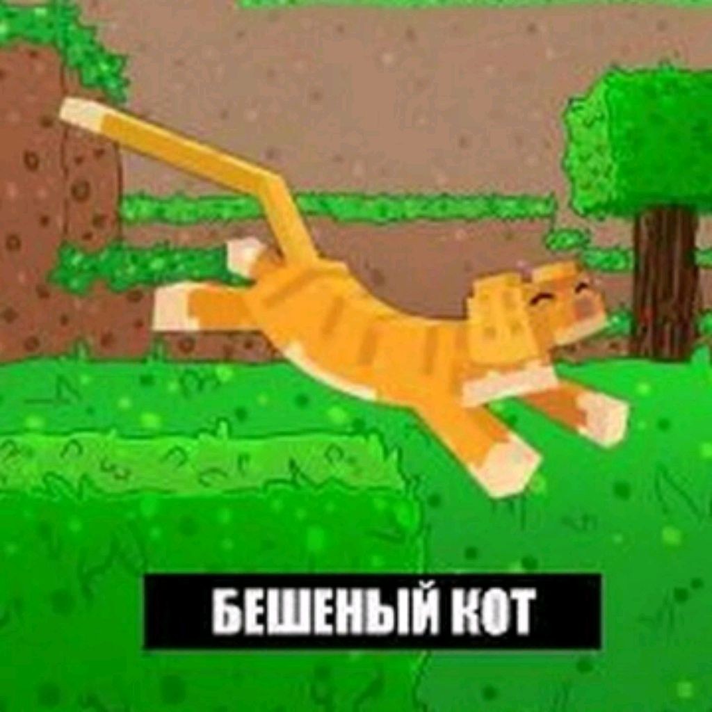.БЕШЕННЫЙ_КОТ.🐱