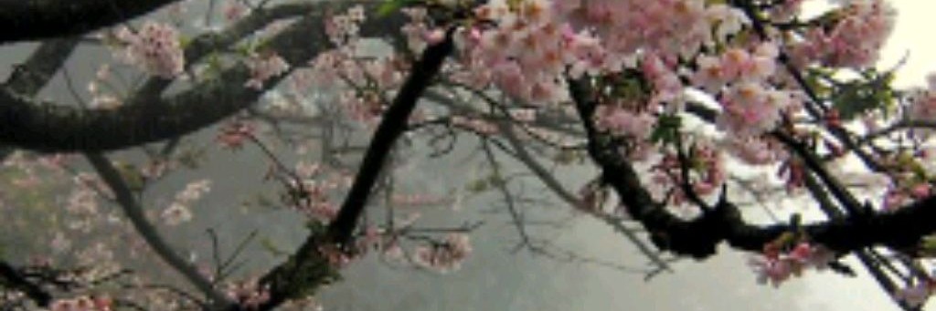 ⋆. 𐙚 ˚zilivonen⋆. 𐙚 ˚