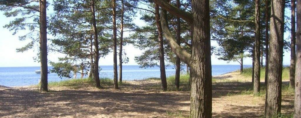 Жители Ленинградской области